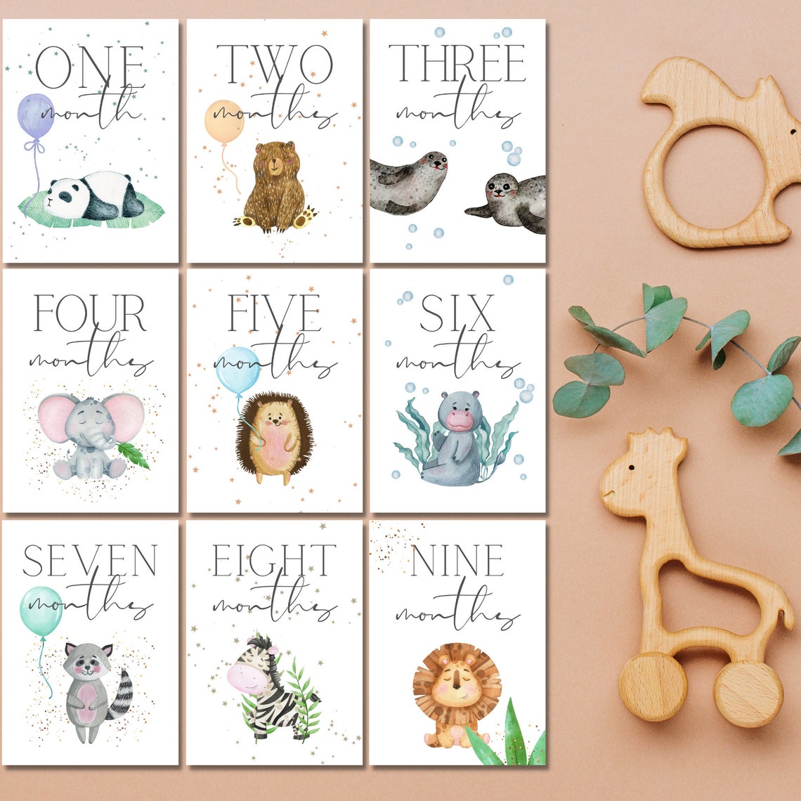 Printable Monthly Milestone Cards, Baby Milestone Card Set, Milestone ...