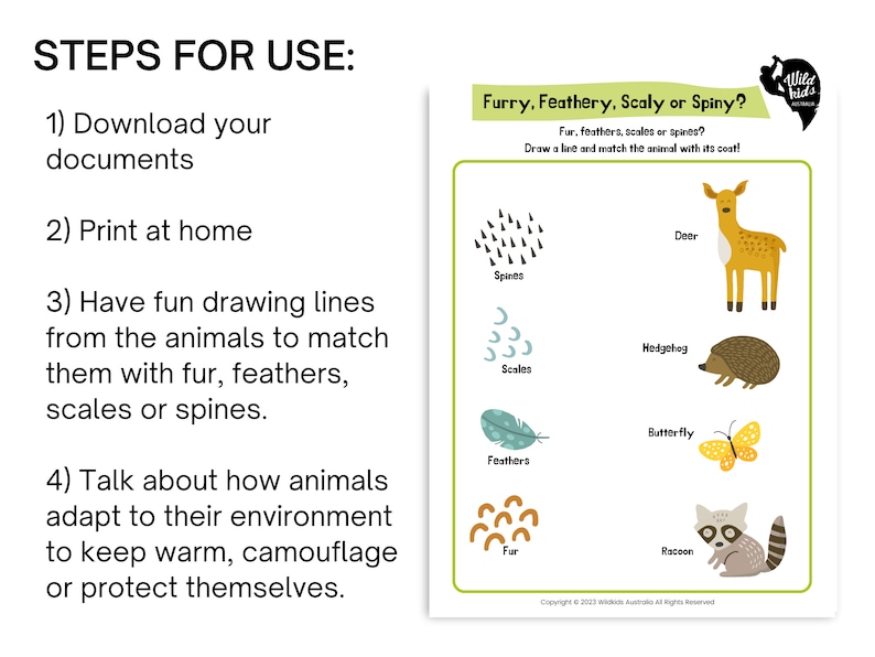 Woodland Animal Printable for Kids: Dive Into Forest Fauna With Our ...