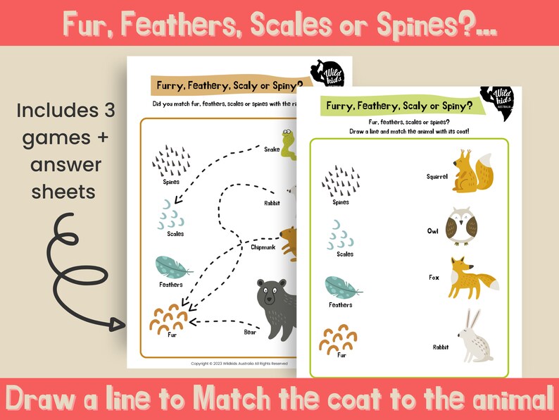 Woodland Animal Printable for Kids: Dive Into Forest Fauna With Our ...