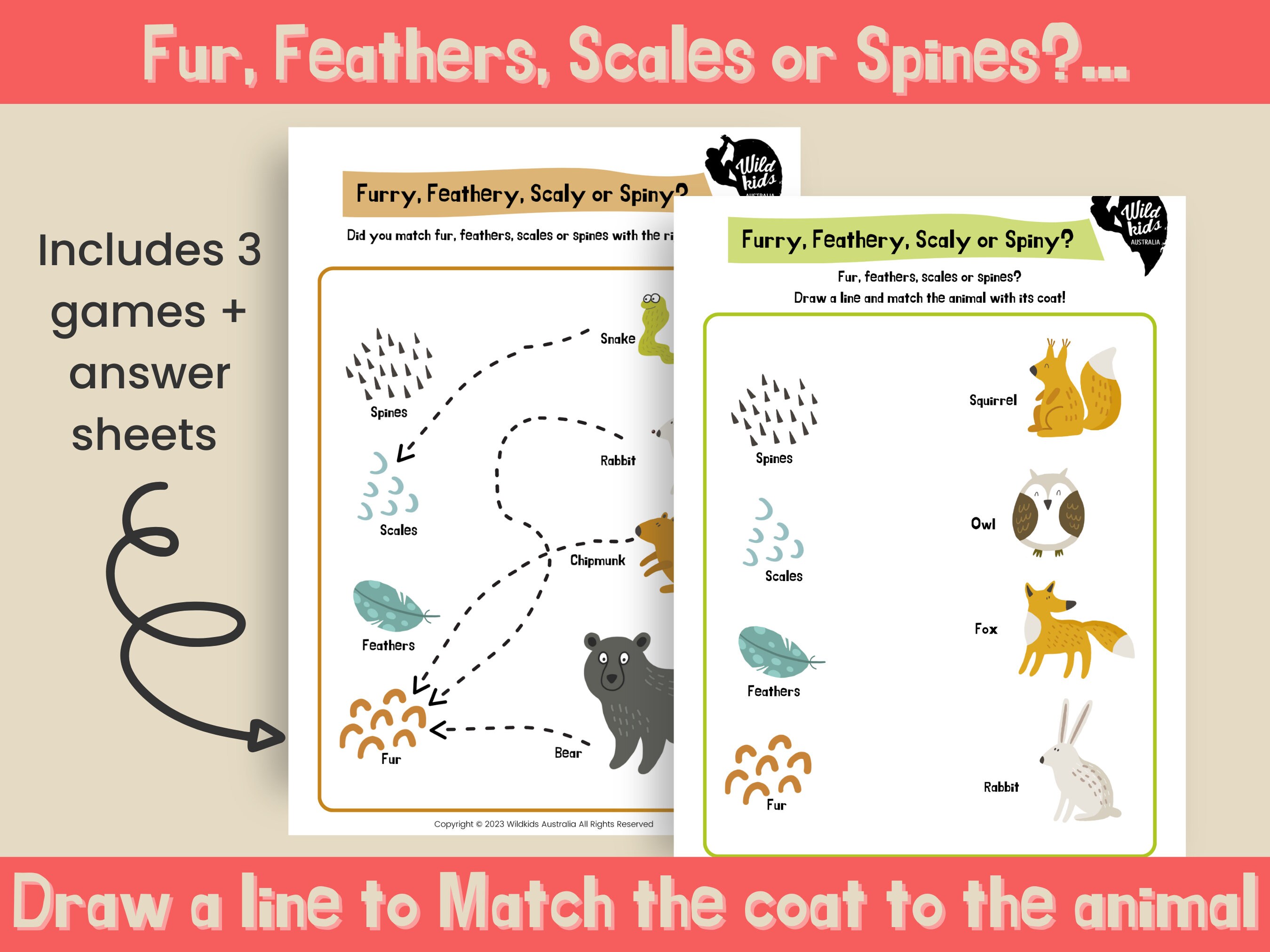 Woodland Animal Printable for Kids: Dive Into Forest Fauna With Our ...