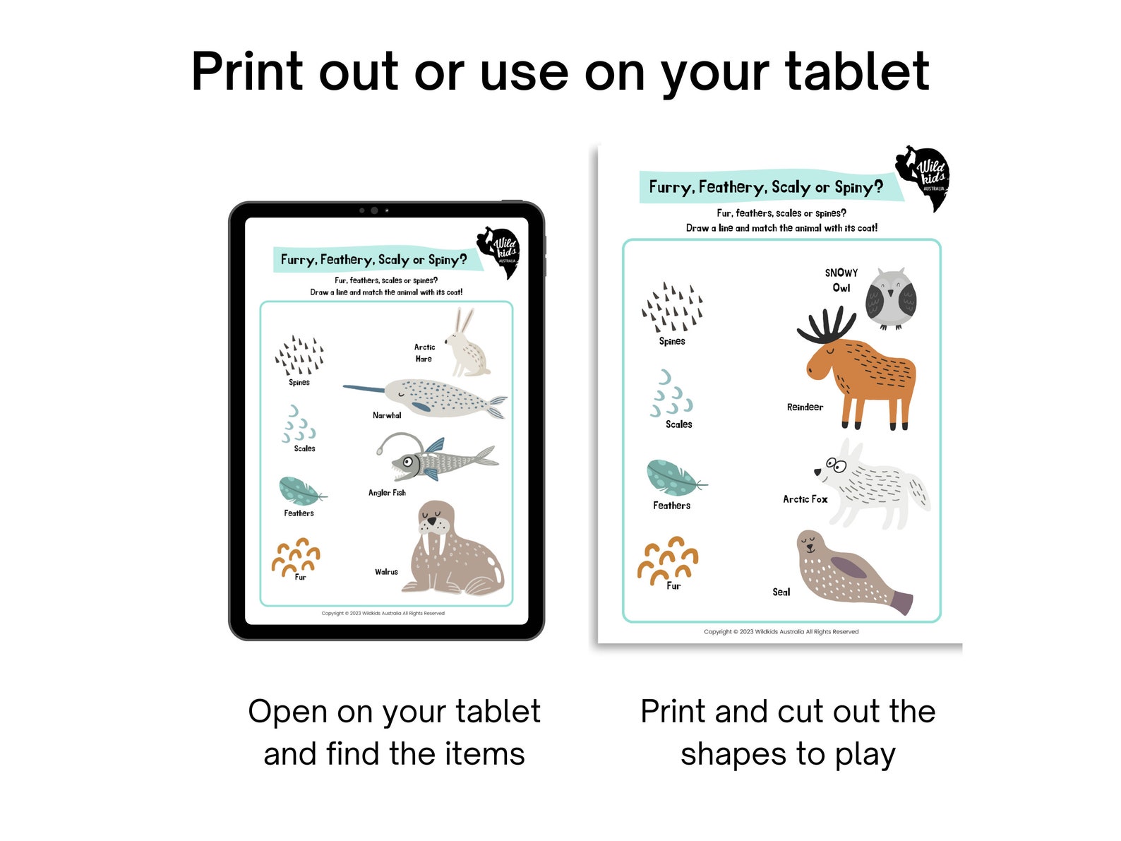 Arctic Animals - Arctic Wildlife Exploration Printable: Delve Into the ...