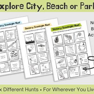 Printable Sensory Scavenger Hunt Bundle, Kids Scavenger Hunt, Sensory ...