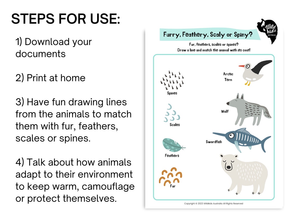 Arctic Animals - Arctic Wildlife Exploration Printable: Delve Into the ...