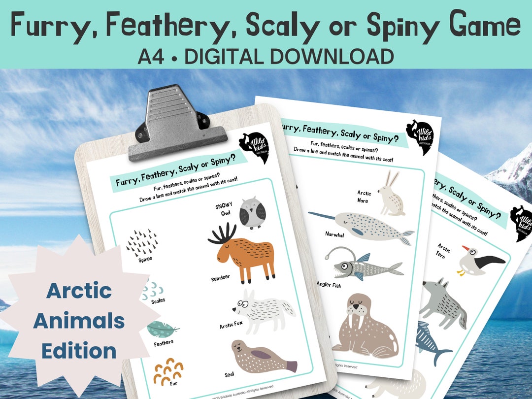 Arctic Animals - Arctic Wildlife Exploration Printable: Delve Into the ...