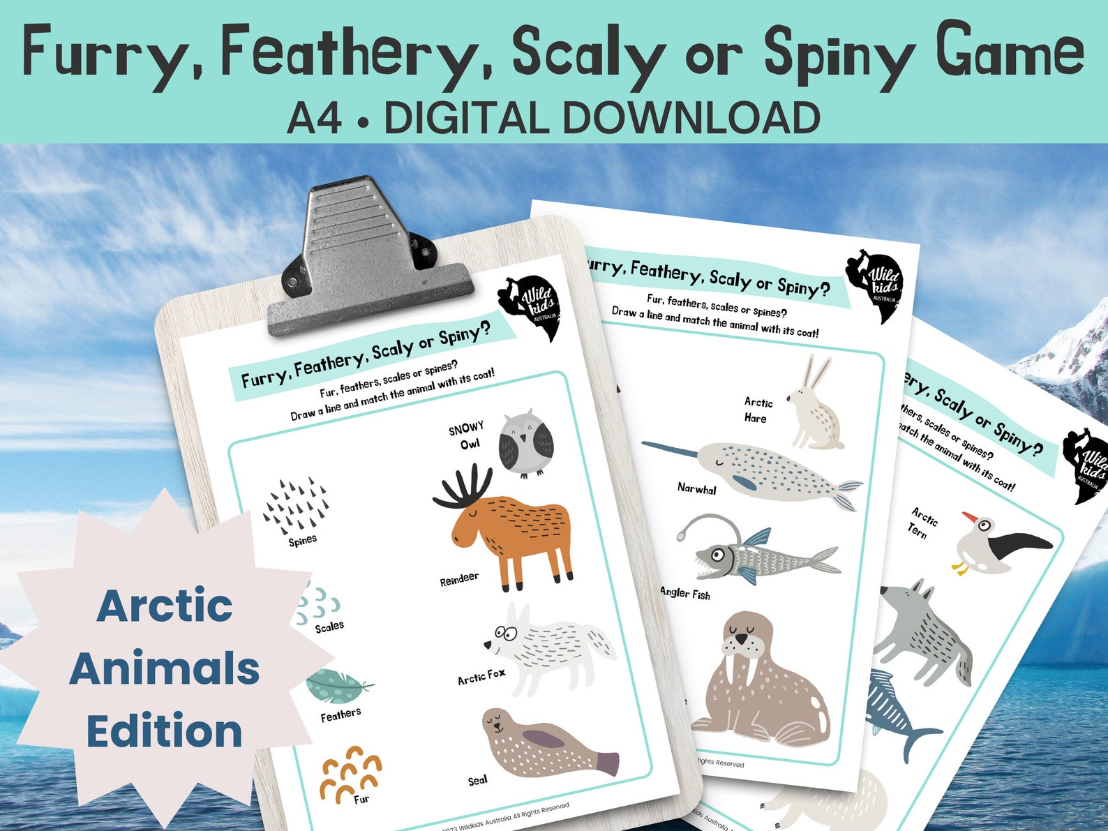 Arctic Animals - Arctic Wildlife Exploration Printable: Delve Into the ...