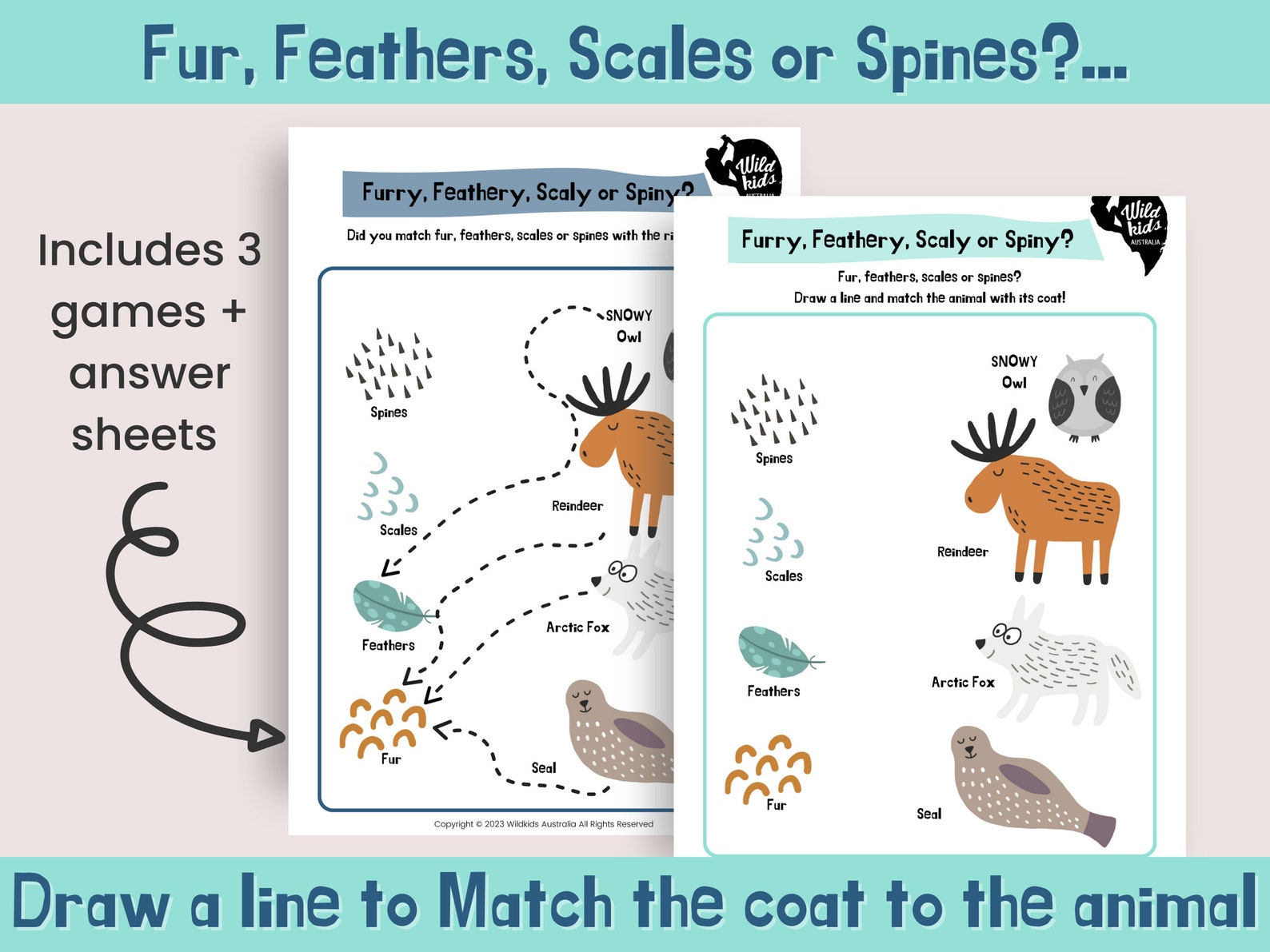 Arctic Animals - Arctic Wildlife Exploration Printable: Delve Into the ...