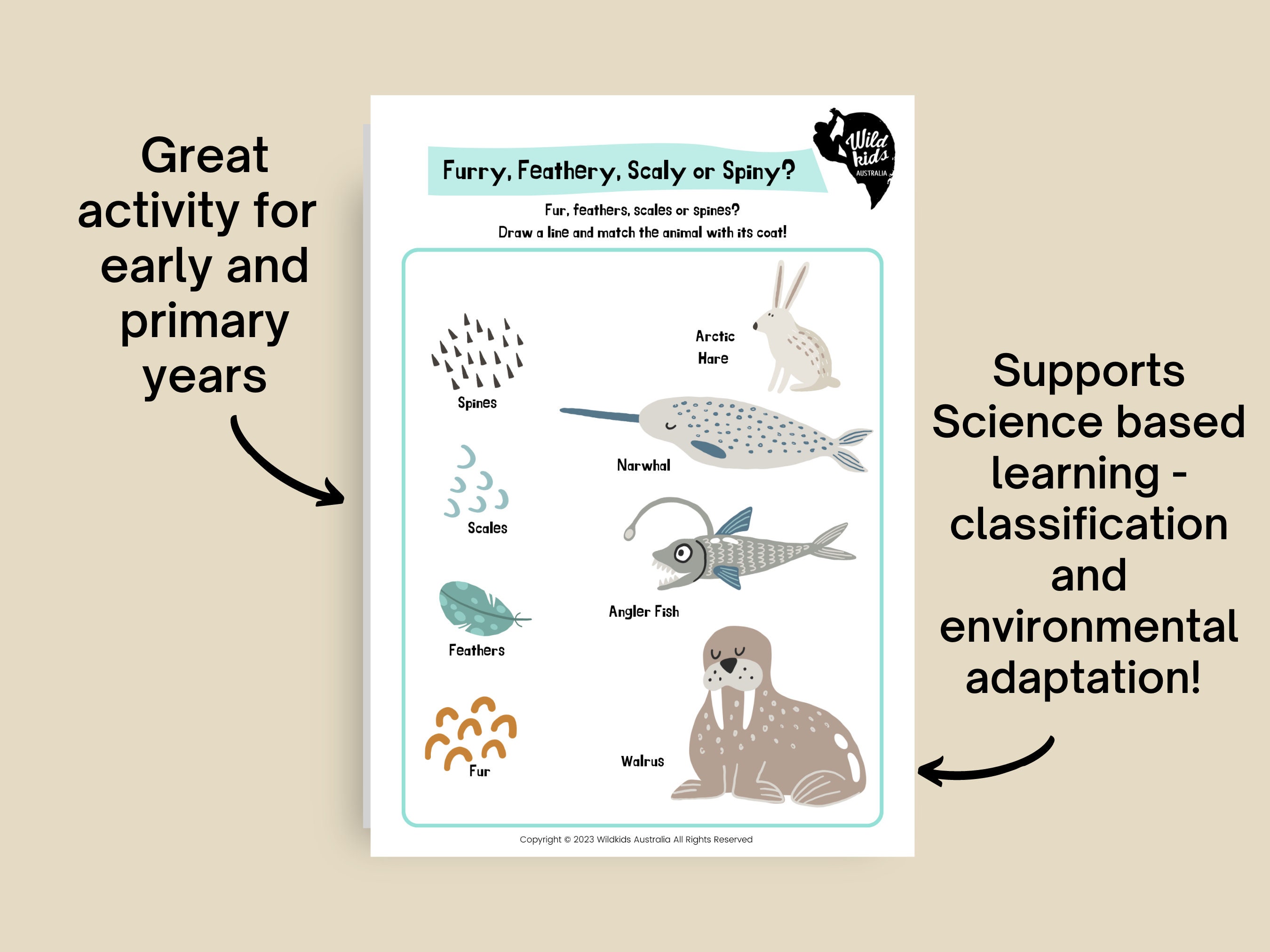 Arctic Animals - Arctic Wildlife Exploration Printable: Delve Into the ...