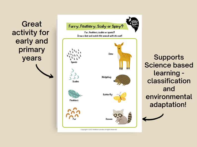 Woodland Animal Printable for Kids: Dive Into Forest Fauna With Our ...