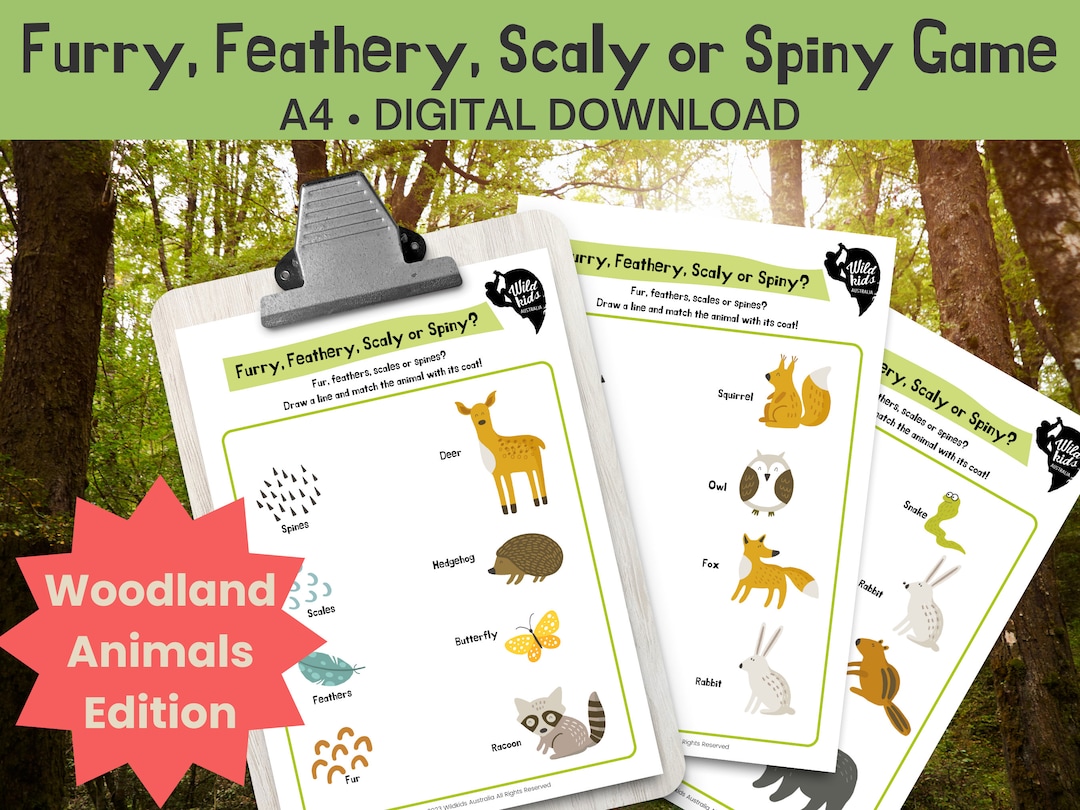 Woodland Animal Printable for Kids: Dive Into Forest Fauna With Our ...