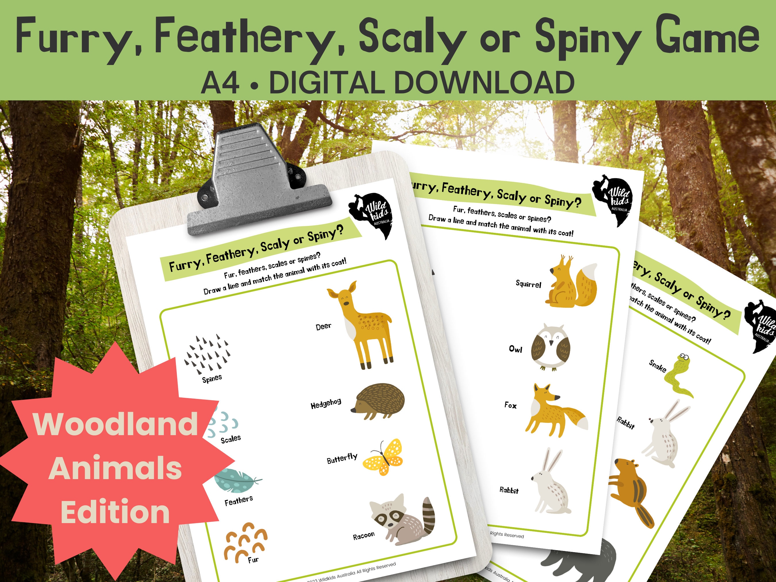 Woodland Animal Printable for Kids: Dive Into Forest Fauna With Our ...