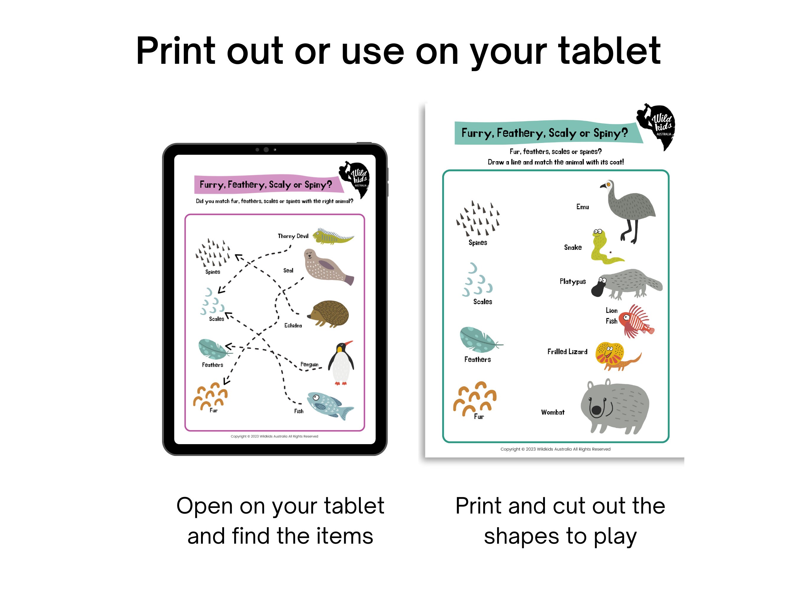 Australian Wildlife Printable for Kids: Discover the Furry, Feathery ...
