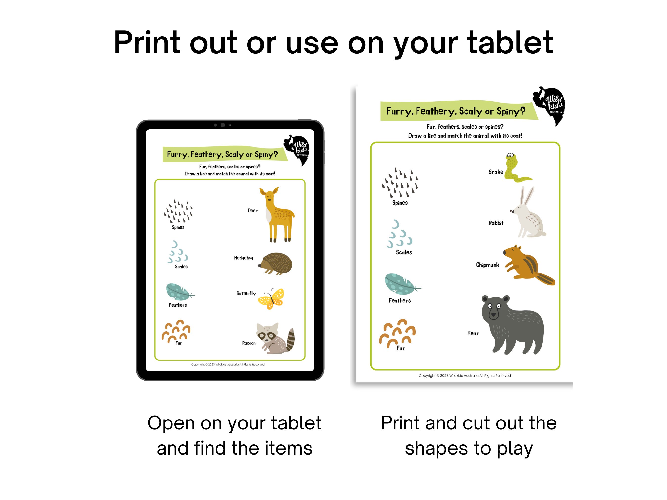 Woodland Animal Printable for Kids: Dive Into Forest Fauna With Our ...