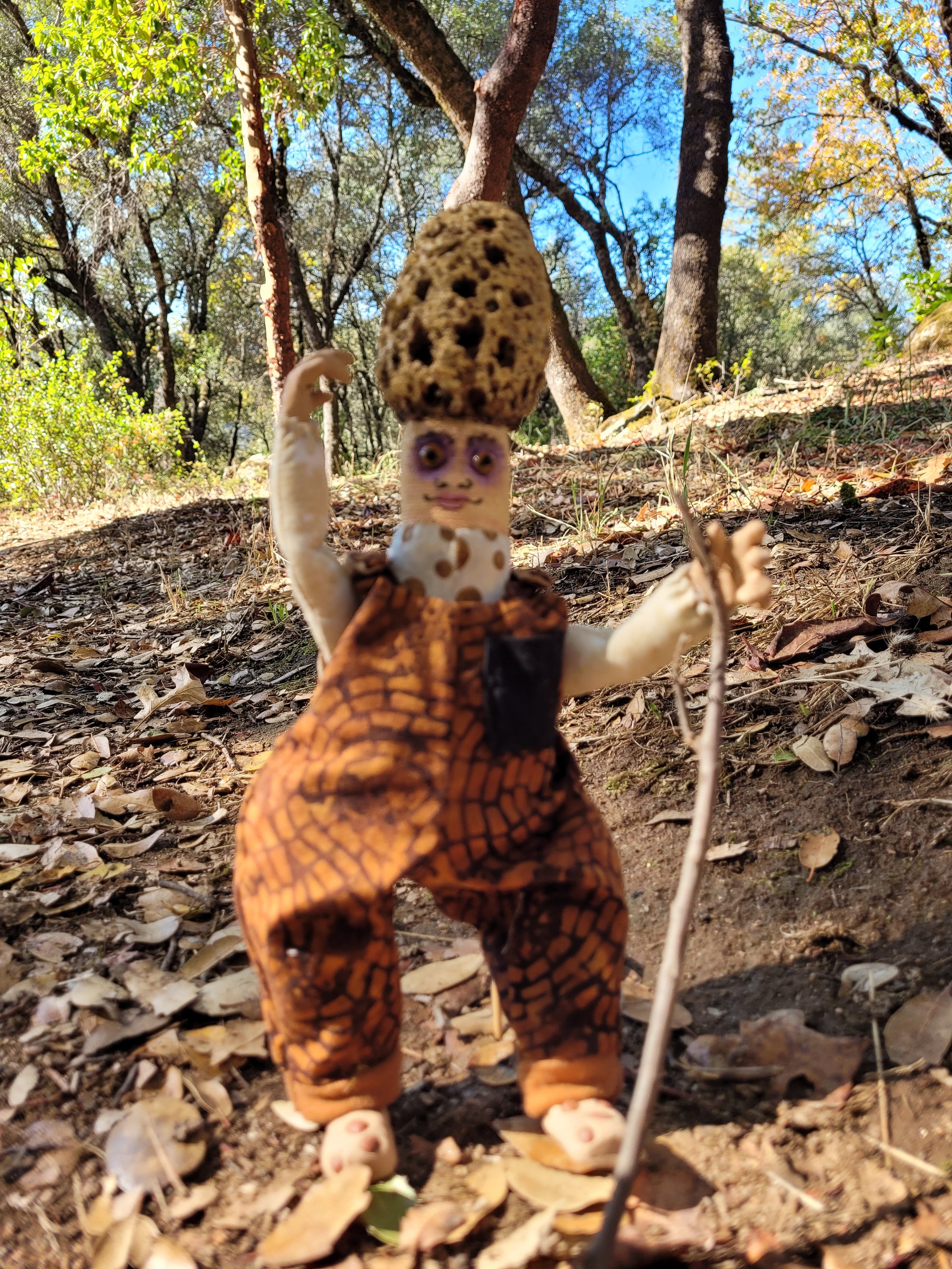 Morel Mushroom Collectible Figurine Doll - Etsy