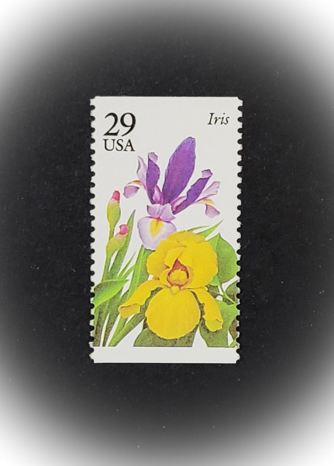 7 Iris Stamps Garden Flowers US Postage 1993 Unused 29 - Etsy