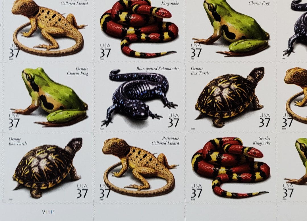 20 Reptiles and Amphibians Stamps US Postage 2003 Unused - Etsy
