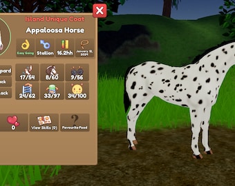 Peacock Appaloosa Wild Horse Islands - Etsy