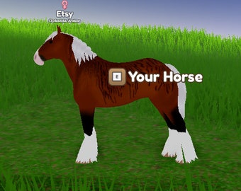 Peacock Appaloosa Wild Horse Islands - Etsy