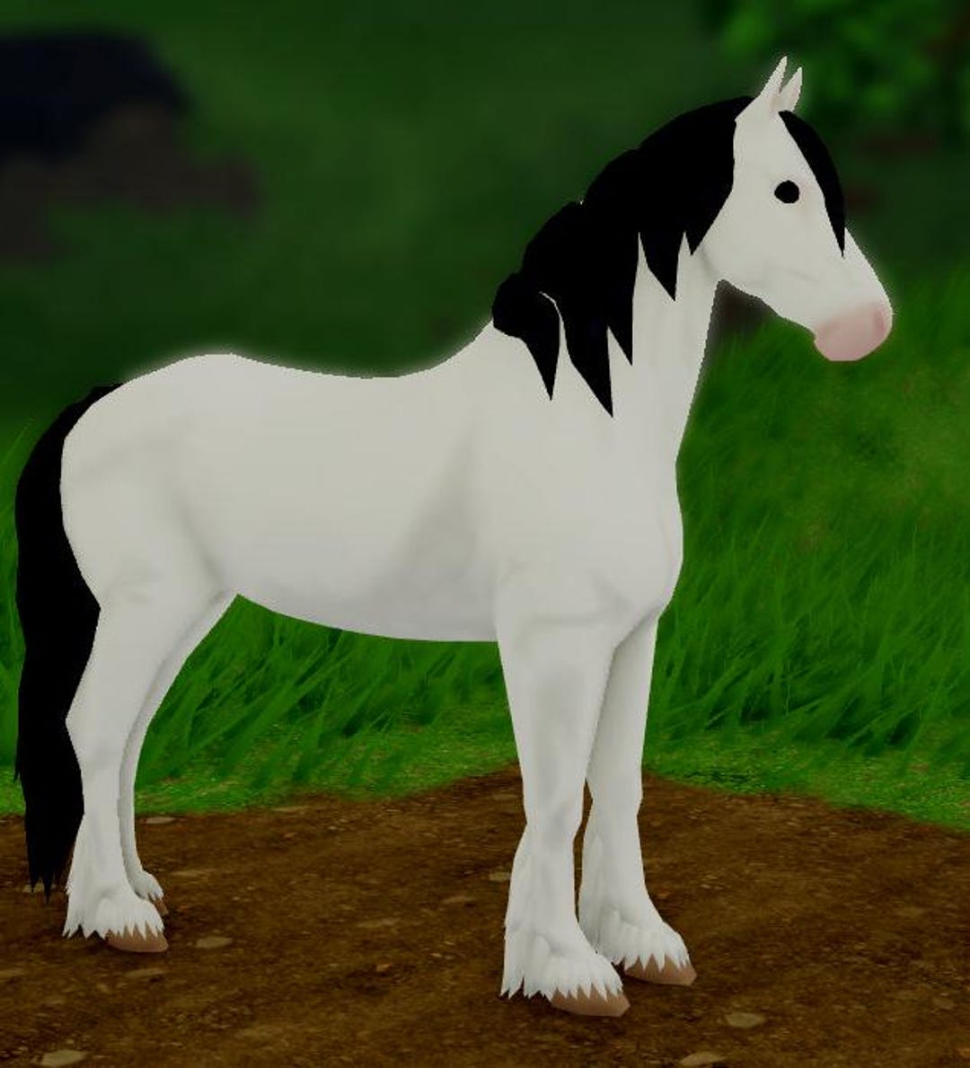 White Friesian Wild Horse Islands - Etsy