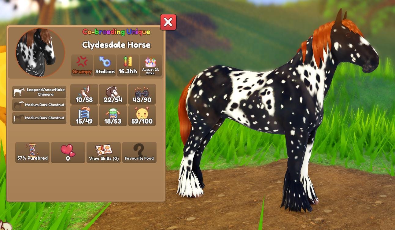 Leopard/snowflake Chimera Clydesdale Wild Horse Islands - Etsy