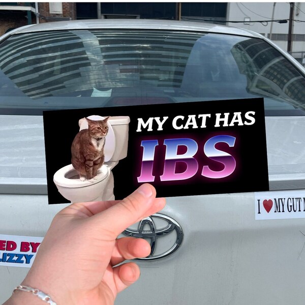 Cat Bumper Sticker - Etsy