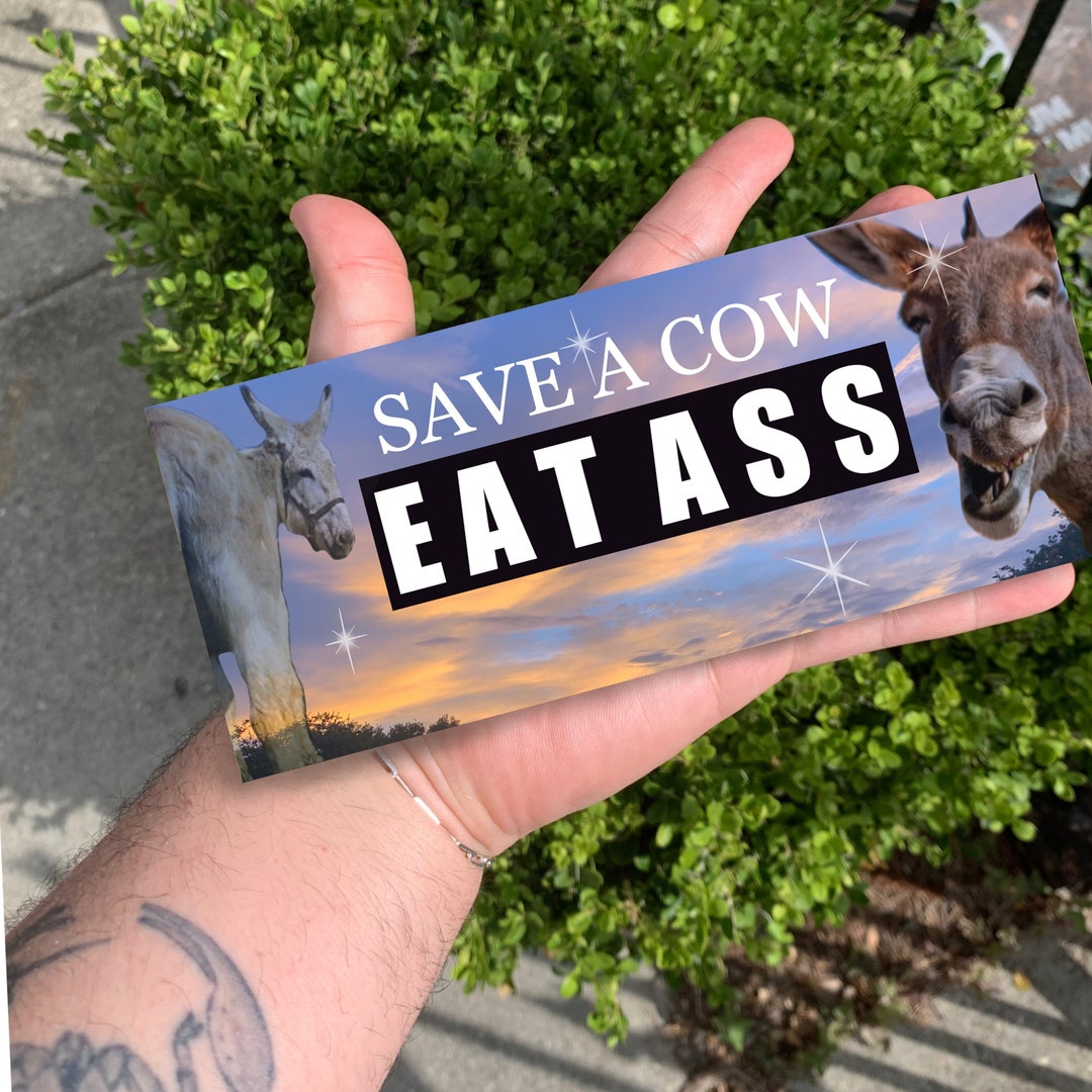 Lighten the Mood With Our 'save a Cow, Eat Ass' Waterproof Bumper ...