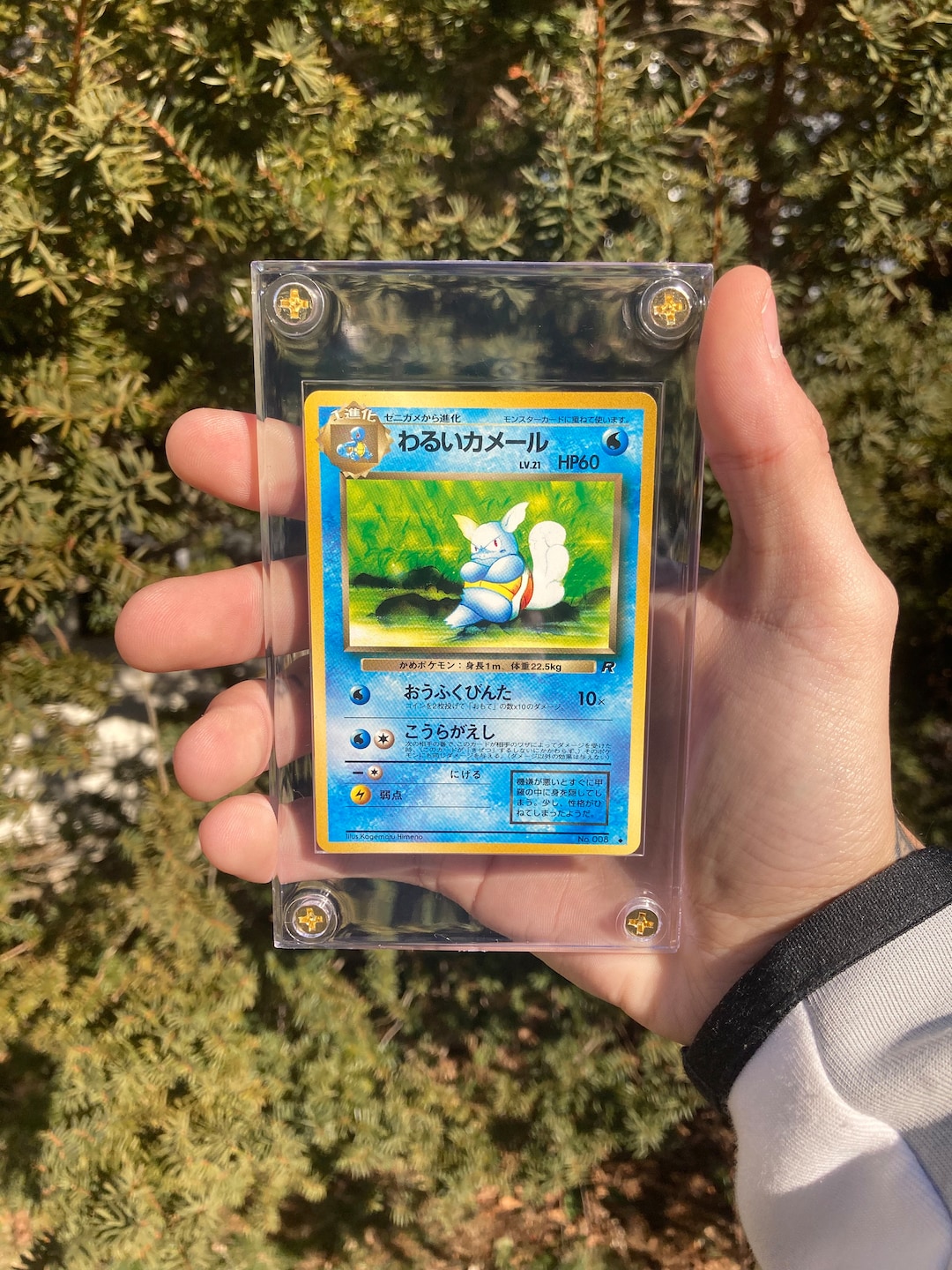 1996 Japanese Team Rocket Set Dark Wartortle Card 008 - Etsy