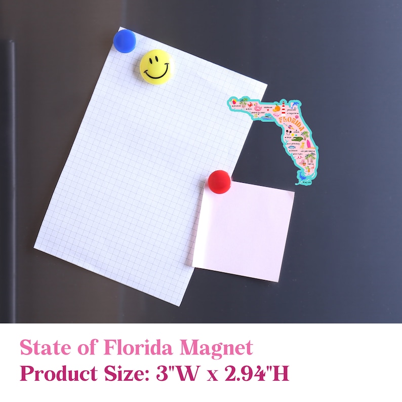 Illustrated State of Florida Magnet - Etsy