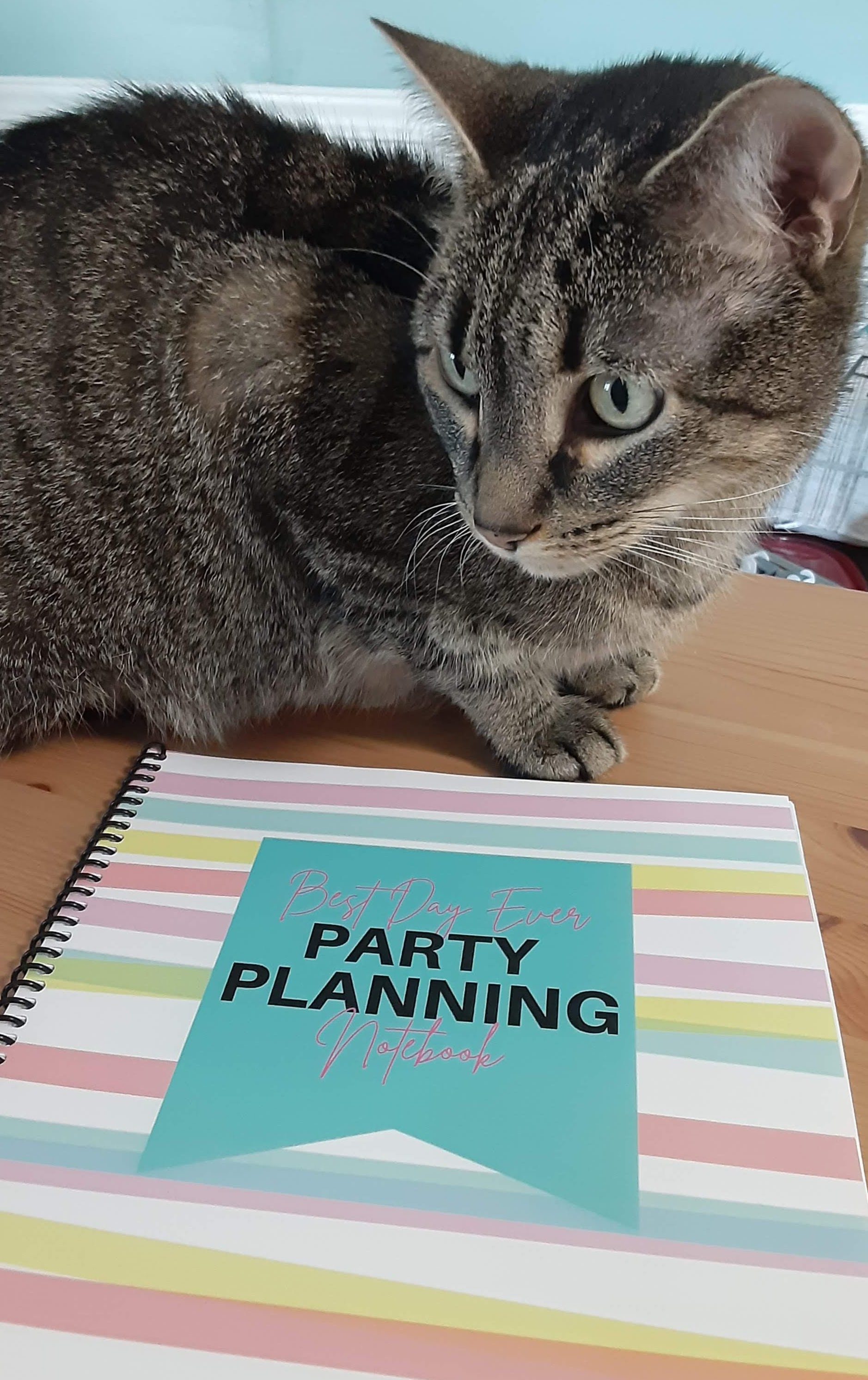 Best Day Ever Party Planning Notebook: Spiral Bound Printed Birthday ...