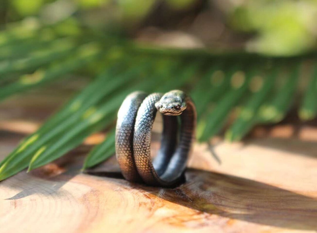 Double Headed Snake Ring, 925 Sterling Silver Retro Double headed ...