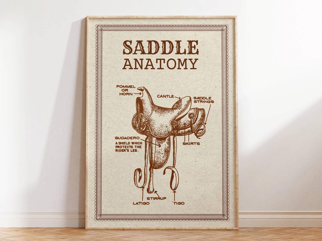 Saddle Anatomy Print | Rustic Western Decor, Vintage Poster (digital ...