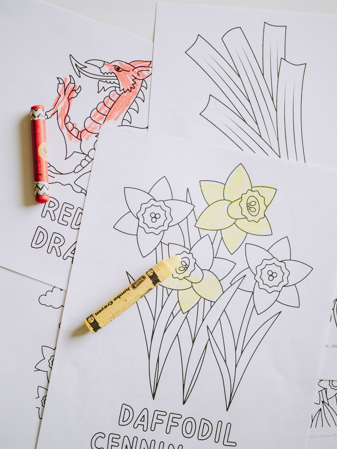 Early Learning Coloring Book, Dot-to-dot and Scissor Skills - Etsy