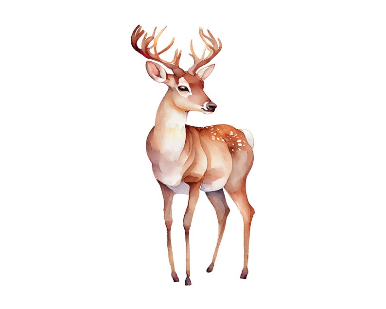 Watercolor Deer Clipart Nursery Decor Deer PNG Watercolor - Etsy