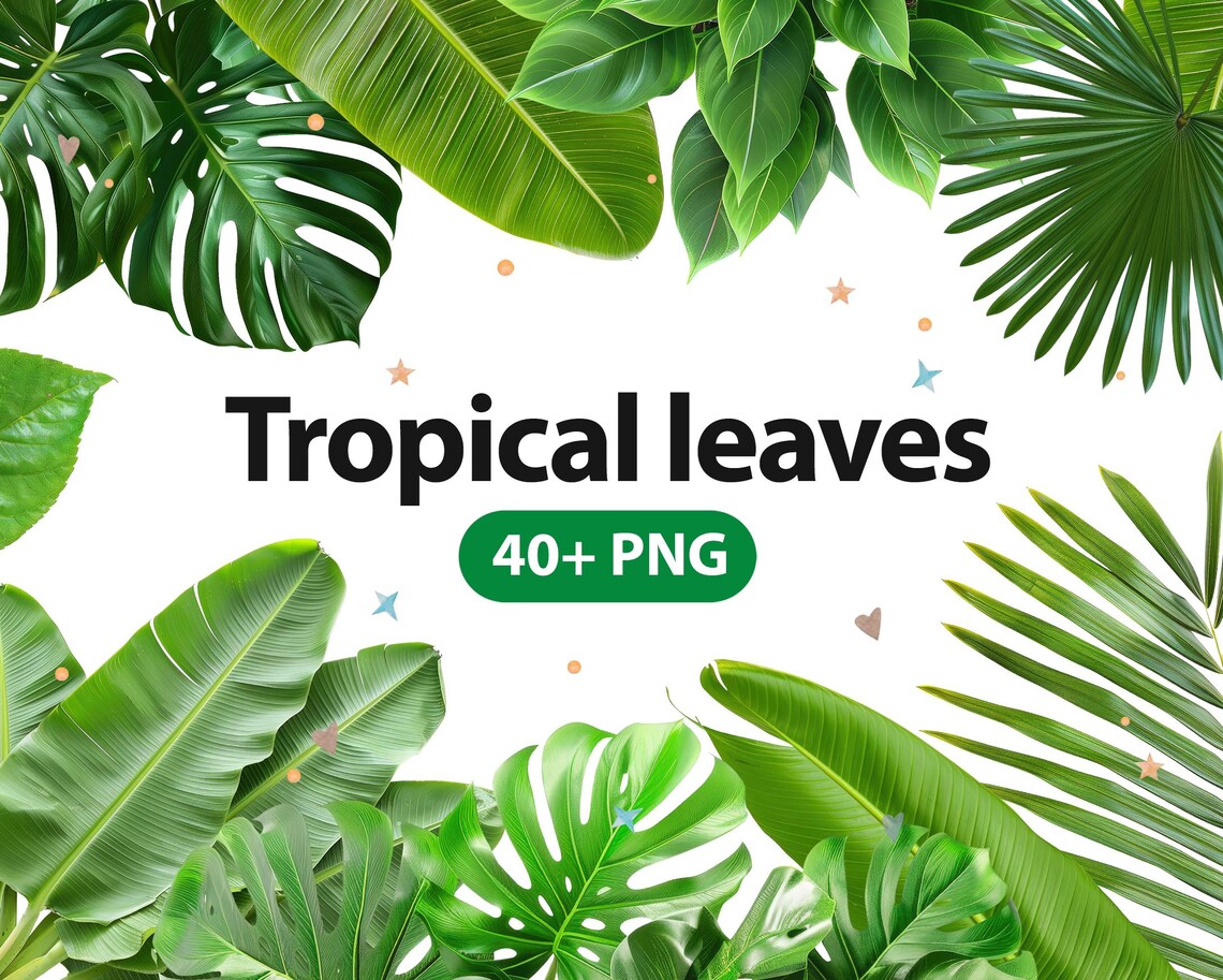Tropical Leaves Clipart: 40+ PNG Greens, Summer Designs (instant ...