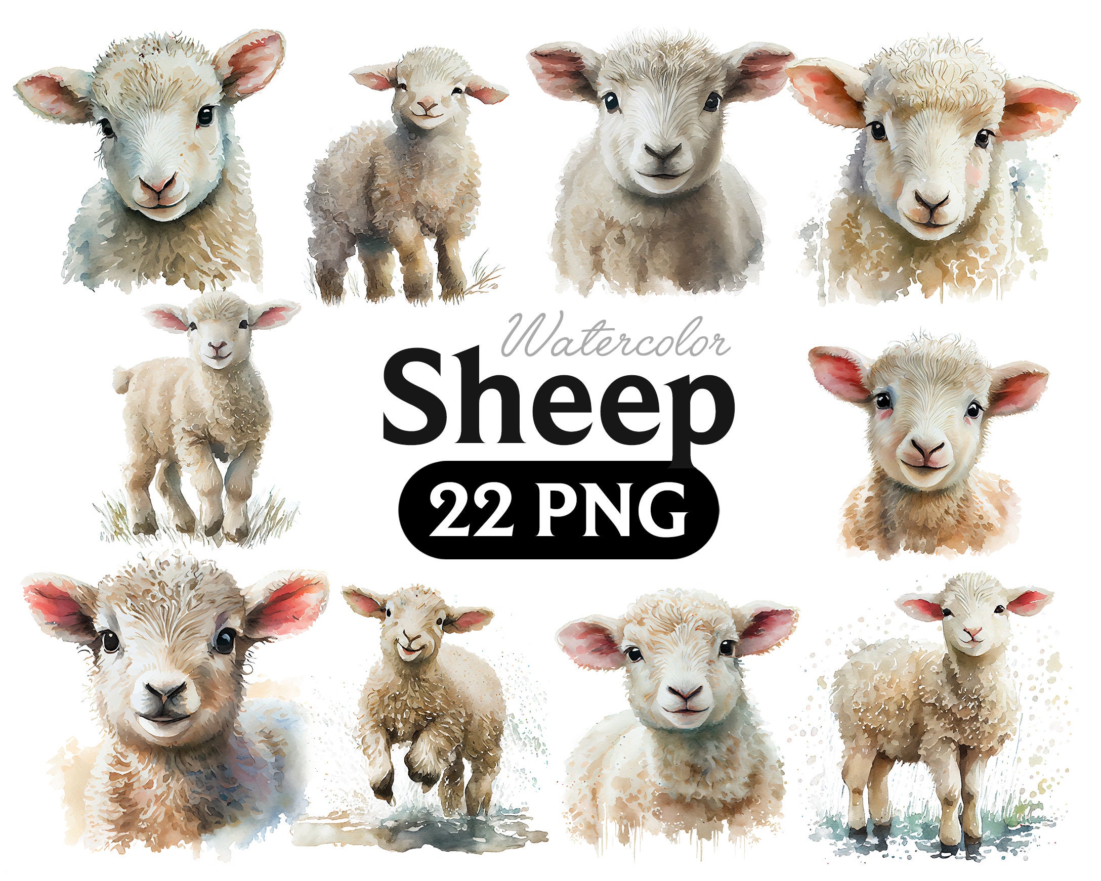 Sheep Watercolor Clipart Sheep PNG Cute Baby Shower - Etsy