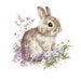 Watercolor Easter Bunny Clipart: Floral Spring Rabbit PNG (digital ...