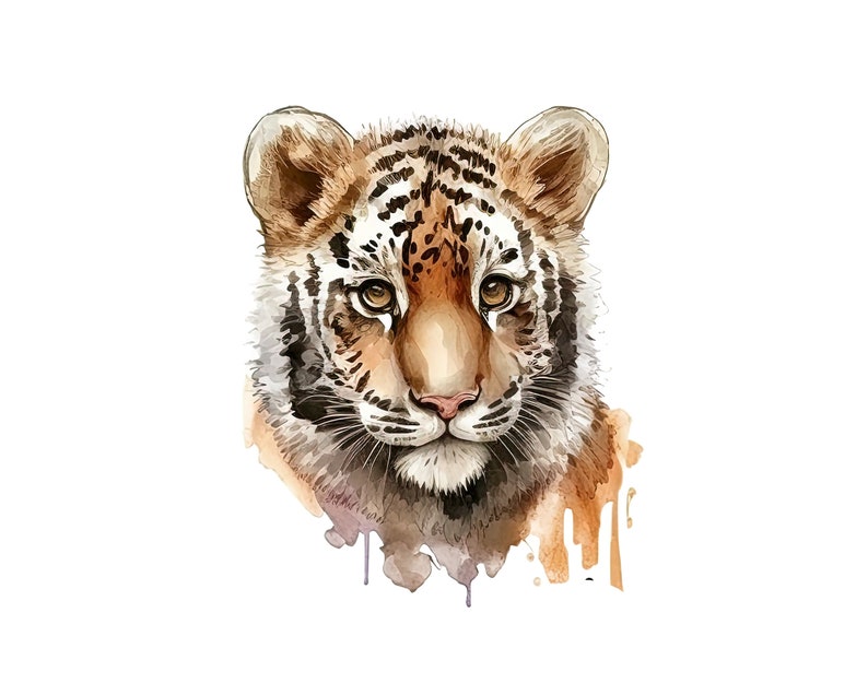 Watercolor Tiger Clipart: 62 Animal PNG Images (digital Download) - Etsy