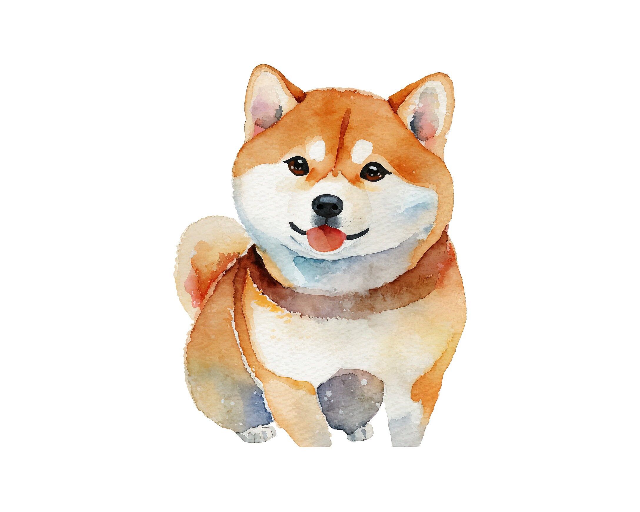 Shiba Inu Clipart Shiba Inu Watercolor Shiba Inu Png Puppy - Etsy