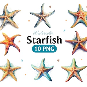 Starfish Watercolor Clipart, Cute Starfish Clipart PNG, Starfish ...