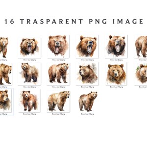 Watercolor Brown Bear PNG Clipart Bundle, Nursery Wall Art, Digital ...
