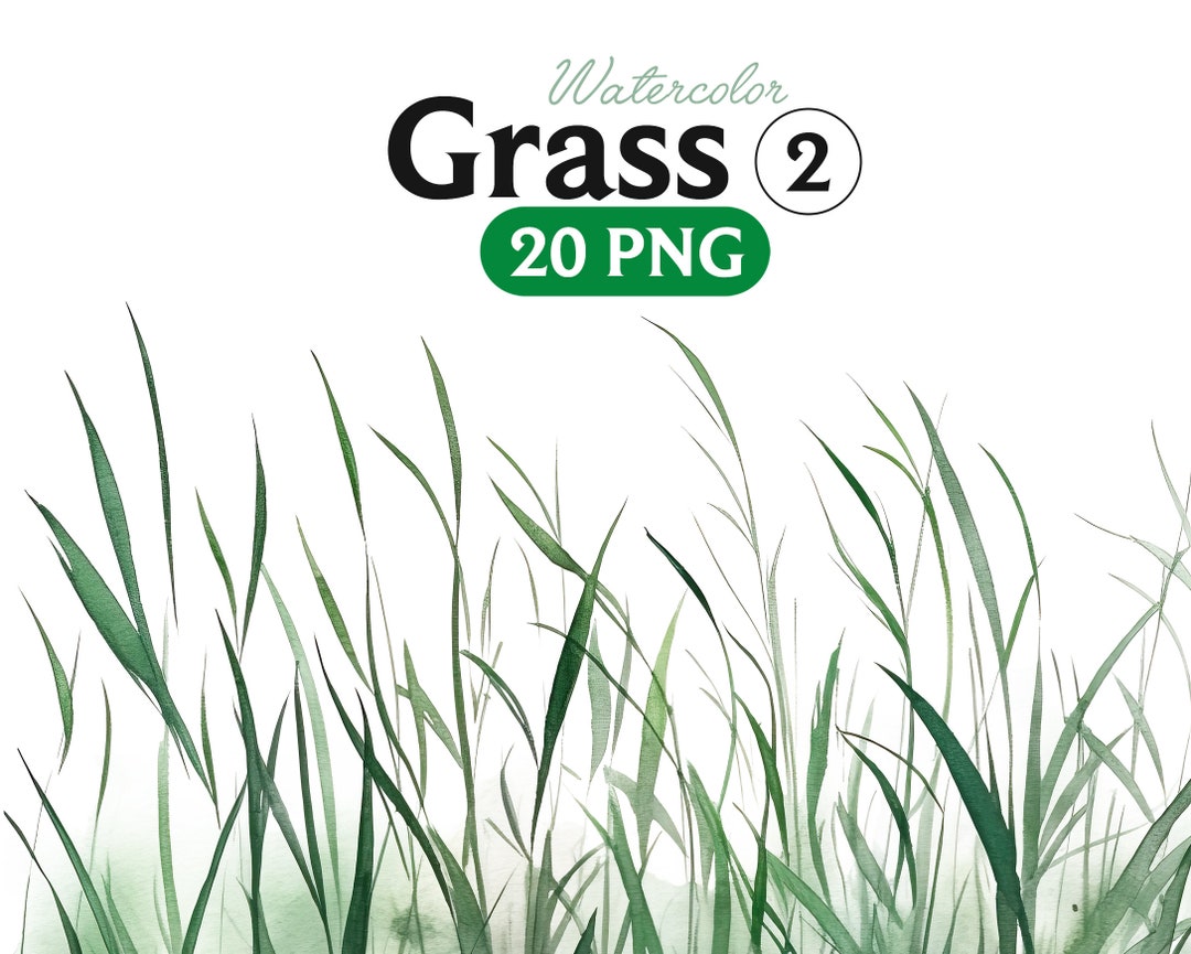 Watercolor Grass Clipart, Spring Tufts of Grass Botanical PNG Format ...
