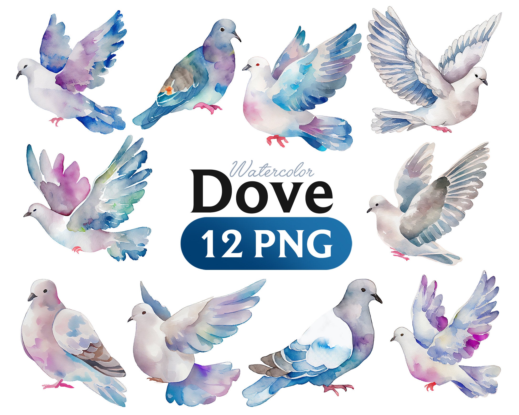 Watercolor Dove Clipart Summer Bird Clip Art Romantic Doves - Etsy