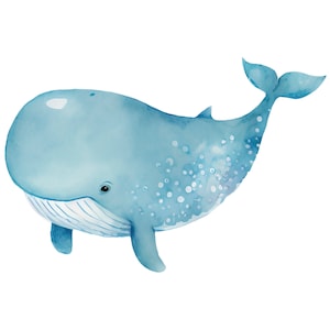 Aquarell Wal, Wal Clipart, Wal PNG, Wal Clipart, Wal Kunst, Wal ...