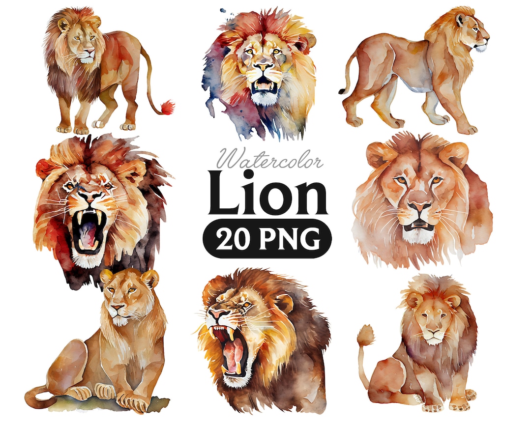 Watercolor Lion Clipart: 20 Animal PNG Images (digital Download) - Etsy