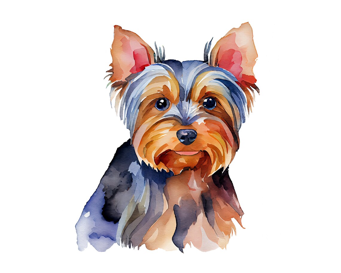 Yorkshire Terrier Clipart Yorkshire Terrier Watercolor - Etsy