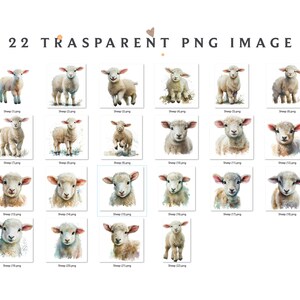 Sheep Watercolor Clipart, Sheep PNG, Cute Baby Shower Graphics, Nursery ...