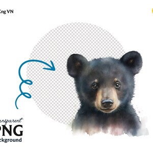 Black Bear Watercolor Clipart, Cute Black Bear Graphics, Nursery Decor ...