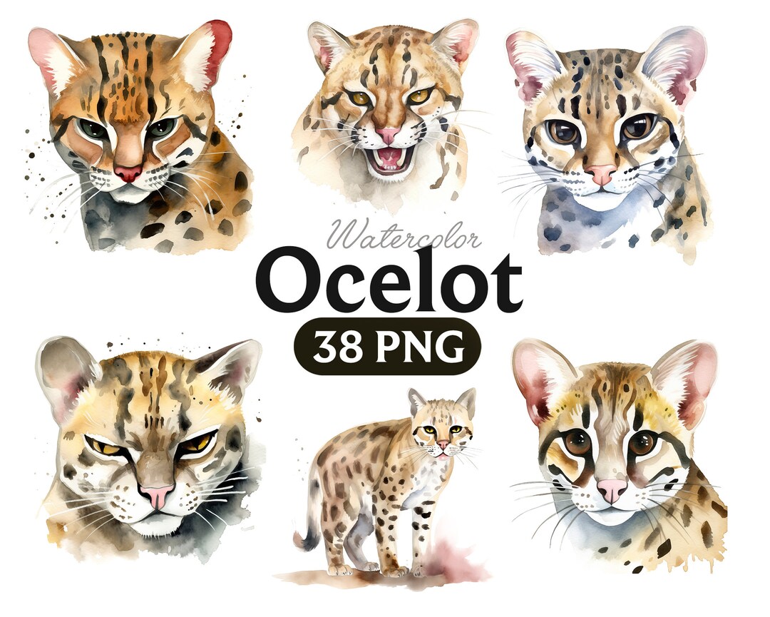 Watercolor Ocelot, Ocelot Clipart, Ocelot Png, Cat Png, Cat Sublimation ...