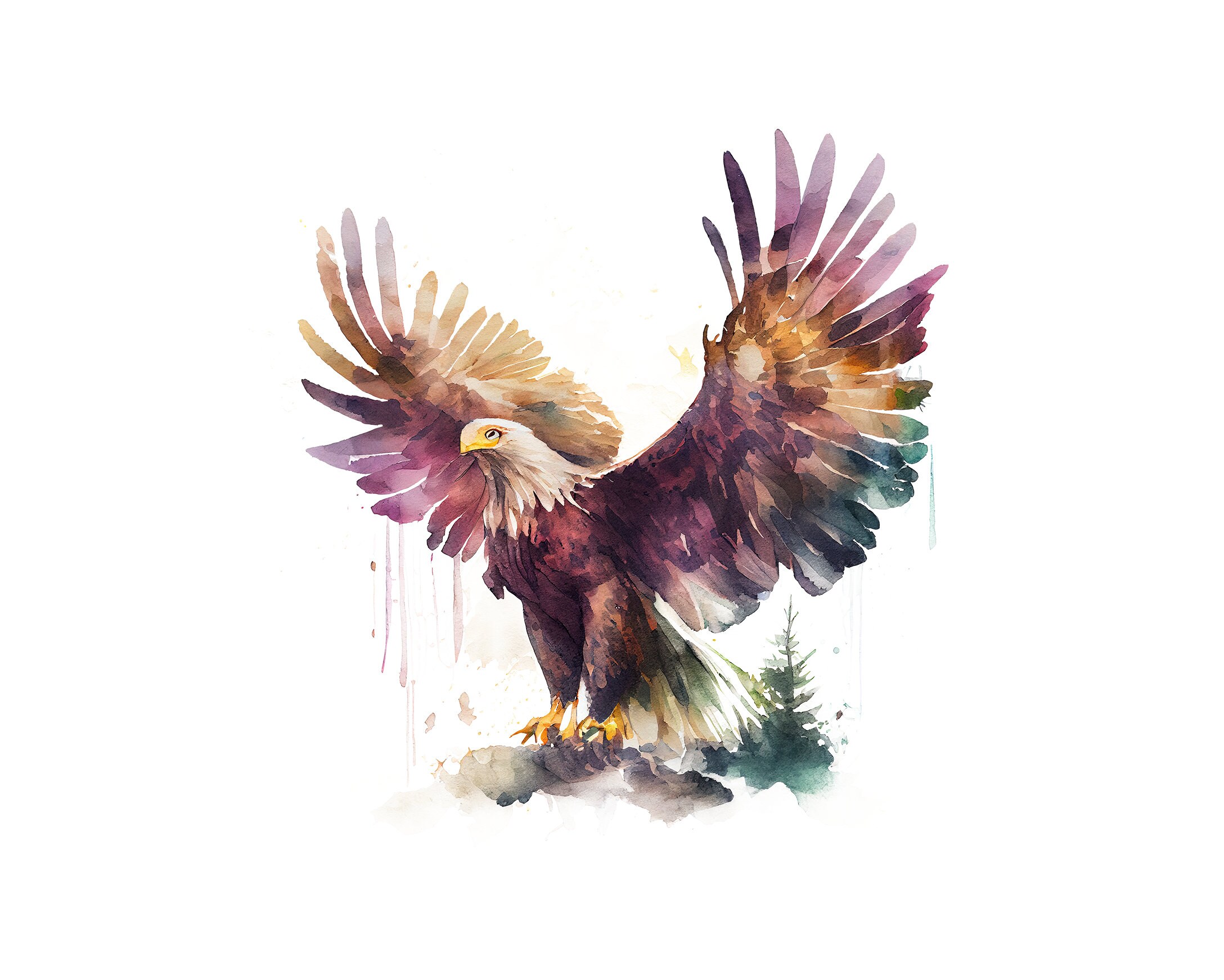 Eagle Watercolor Clipart: 18 PNG Graphics (digital Download) - Etsy