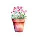 Flower Pot Clipart watercolor Flower Pot Spring Garden PNG - Etsy