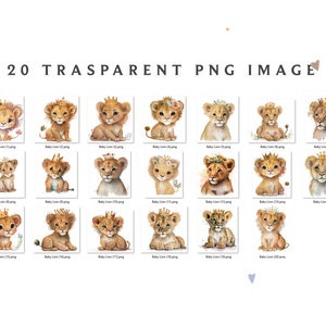 Watercolor Baby Lion, Baby Lion Clipart, Baby Lion PNG, Baby Lion ...